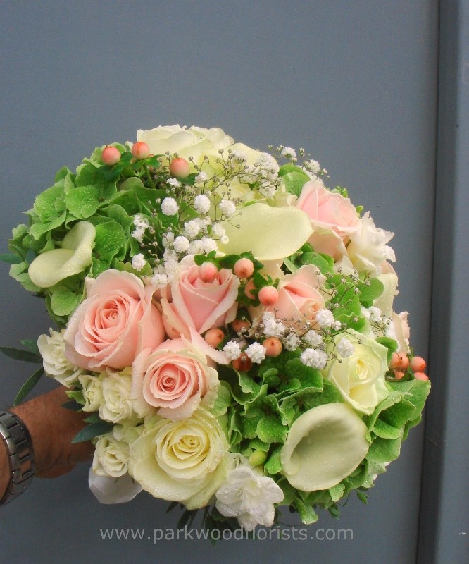 Ivory, Peach & Coral – buy online or call 01202 717 700